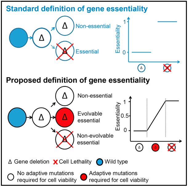 Research – Gaowen Liu Lab